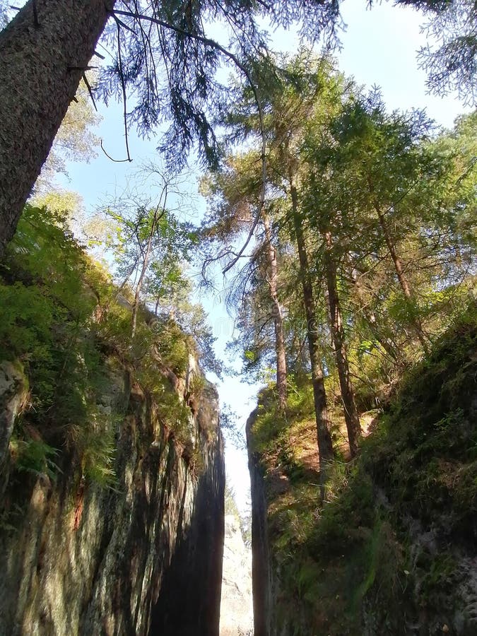 Gap between rocks stock photo. Image of plant, rock - 215332844