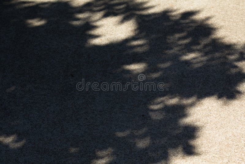Solar Eclipse Crescent Light Patterns in Shadows Stock Photo - Image of ...