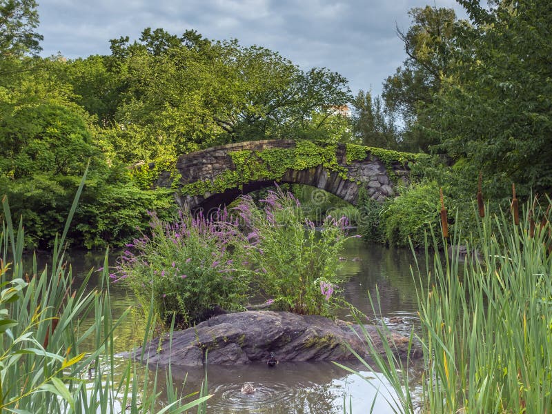 Gapstow Bridge in Central Park Stock Photo - Image of trees, landscape ...