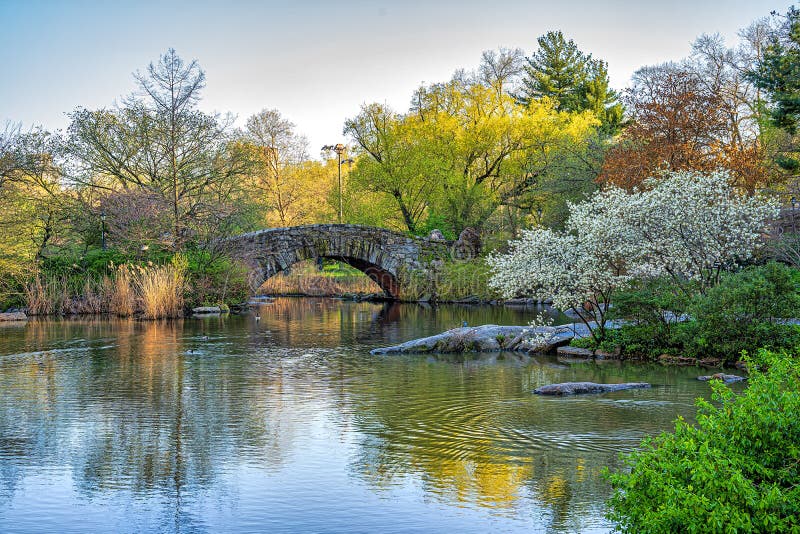 Gapstow Bridge in Central Park Stock Photo - Image of city, flowers ...