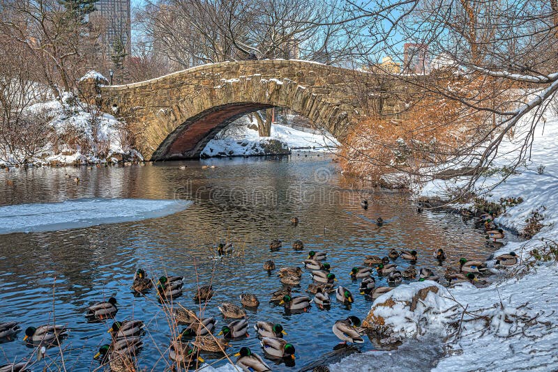 Gapstow Bridge in Central Park, Snow Storm Stock Photo - Image of ...