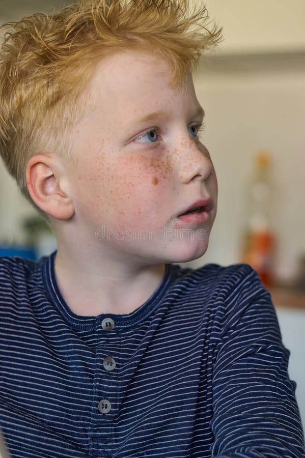 Garçon Couvert De Taches De Rousseur D'une Chevelure Rouge Photo stock ...