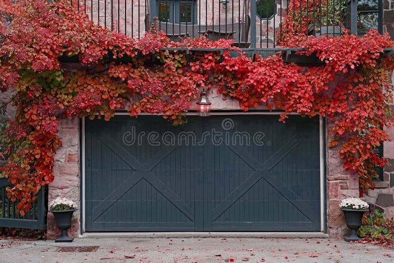 Garage Door with Fall Colors Stock Photo - Image of double, plant ...