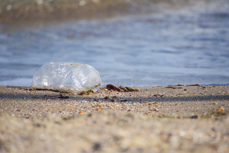 Garbage Bag Thrown on the Ground Increasing Environmental Pollution on ...