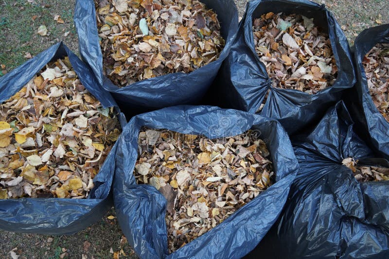 Garbage bags stock photo. Image of isolated, household - 258486276