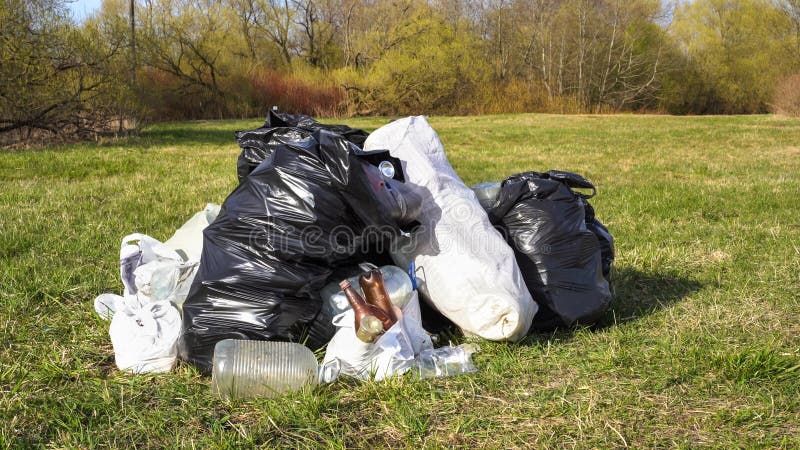 Garbage Bags on the Lawn. Environmental Pollution, the Problem of ...