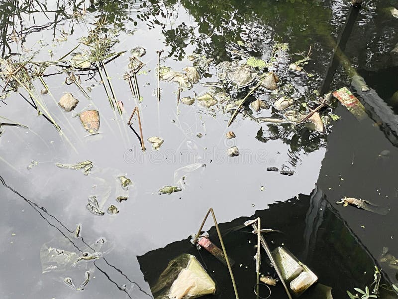 Garbage Bags and Trash on the River Stock Photo - Image of concept ...