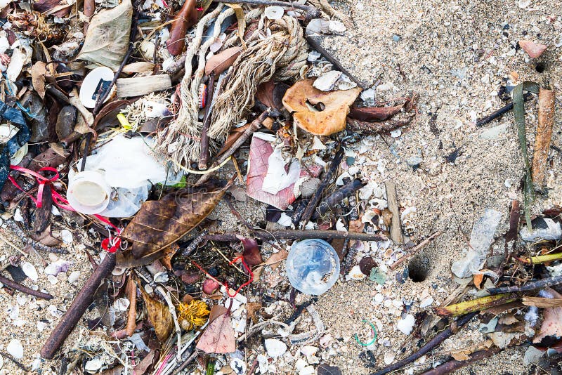 Garbage on the beach stock image. Image of bottle, nature - 88027343