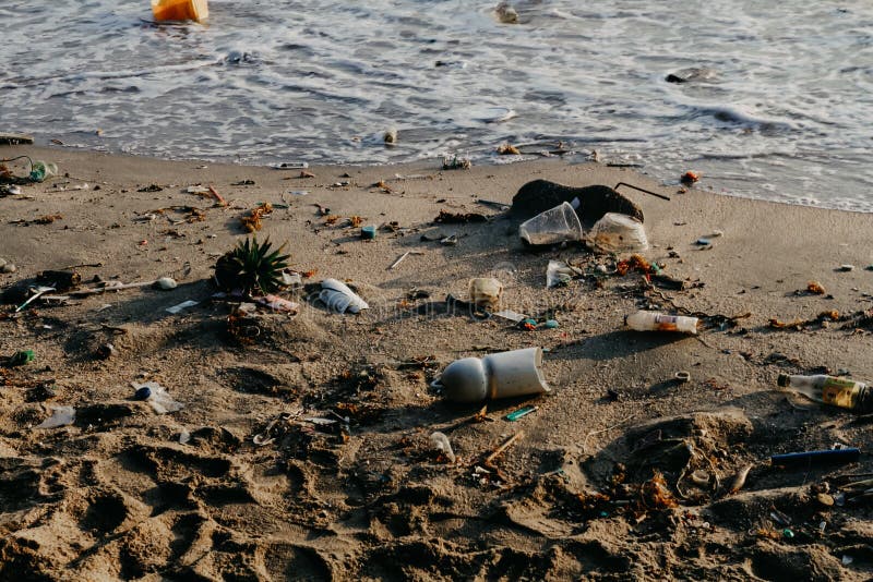 Garbage on the beach stock image. Image of dining, antique - 137376335