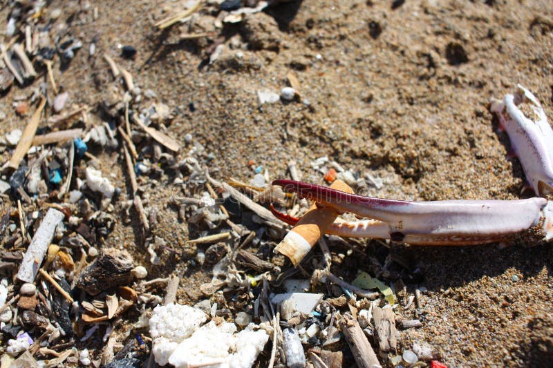 Garbage on a Beach. Waves of Garbage are Washing Onto a Beach Stock ...