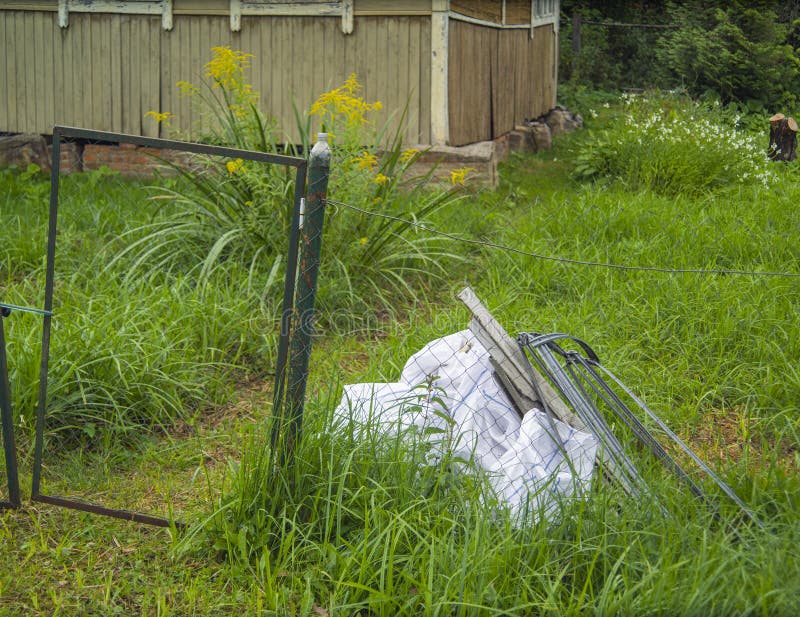 Garbage behind the fence stock photo. Image of overgrown - 271773782
