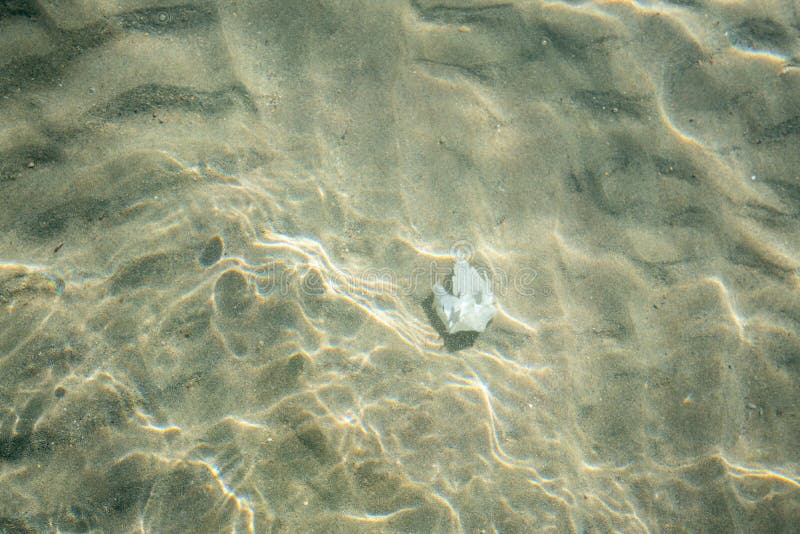 Garbage at the Bottom of the Sea View through the Water Stock Image ...