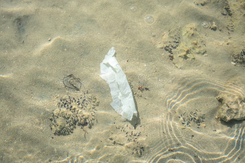 Garbage at the Bottom of the Sea View through the Water Stock Image ...