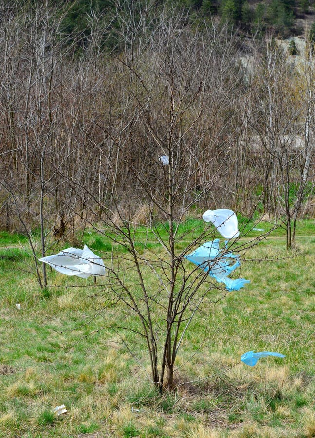 Garbage on Branches of Wood Stock Image - Image of plastic, plant ...