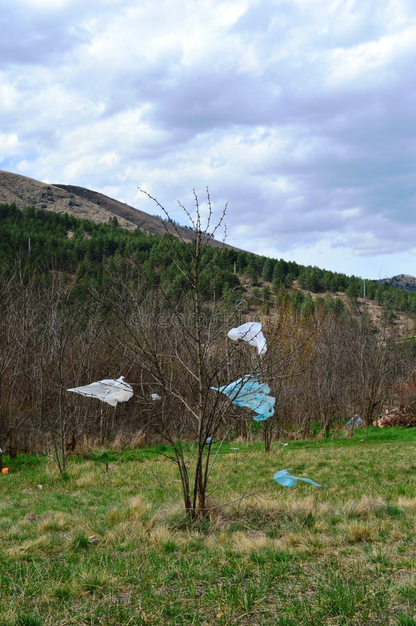 Garbage on Branches of Wood Stock Image - Image of garbage, plant ...