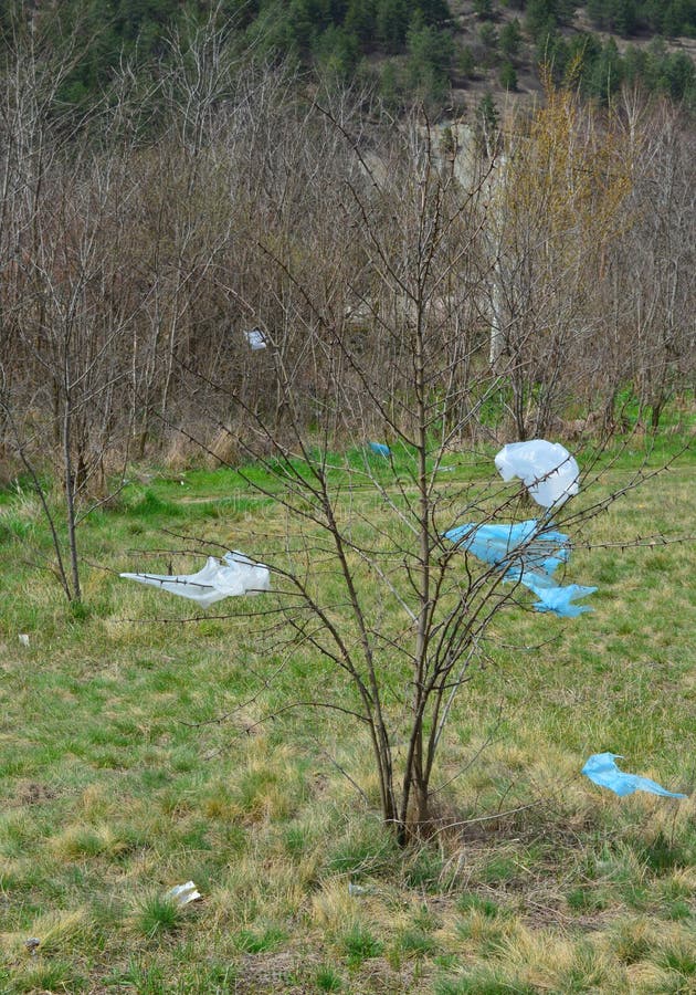 Garbage on Branches of Wood Stock Photo - Image of wood, branches ...