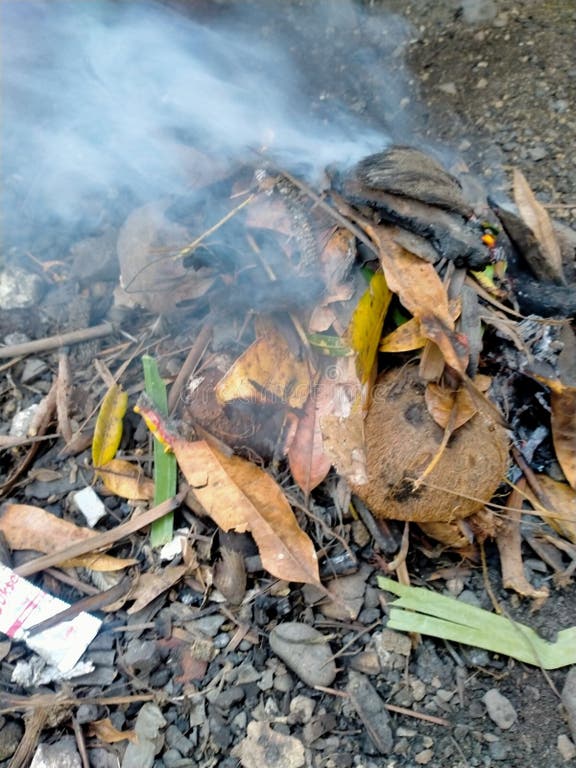 Garbage Burned Behind the House 2024 Stock Photo - Image of garbage ...