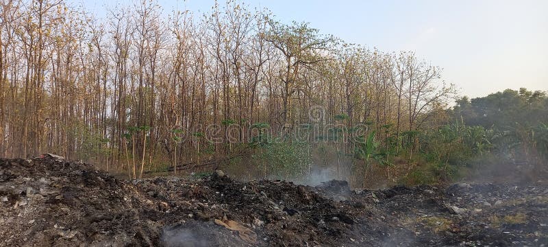 Garbage burning stock image. Image of burning, tree - 287825119