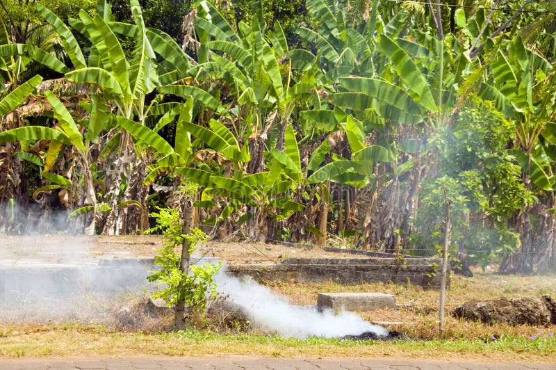 Garbage Burning Jungle Corn Island Nicaragua Stock Image - Image of ...