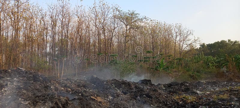 Garbage burning stock photo. Image of grass, burning - 287825052
