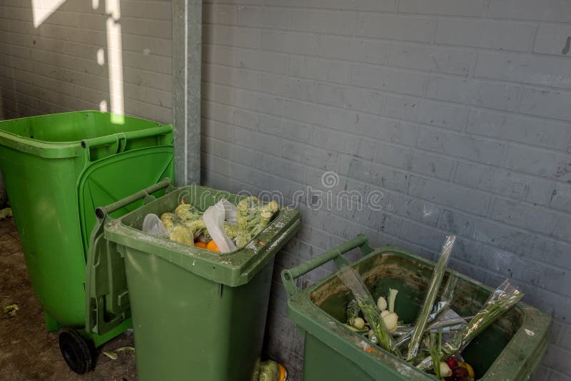 Forever88 - Photographer profile