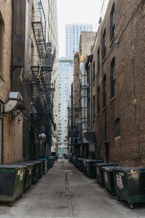 Garbage Cans Stand between Buildings in a Courtyard of Chicago ...