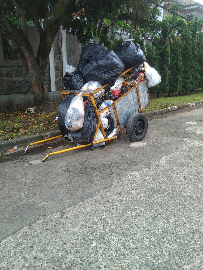 Garbage Cart on the Side of the Road Under the Shade of a Tree Stock ...