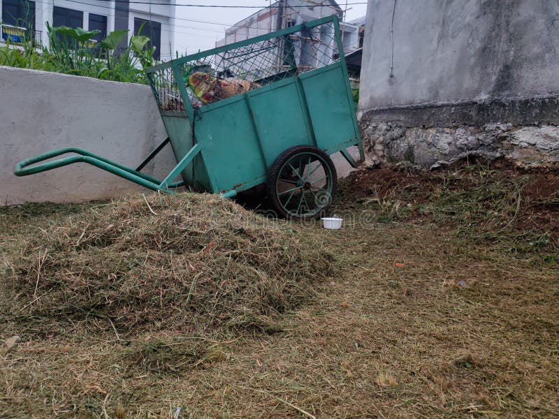 Garbage Carts in Public Facilities Stock Image - Image of public ...