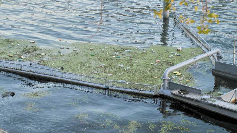 Organic Waste. Disposal of Leftover Food and Groceries in the Household ...