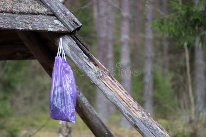 Garbage Collection for Cleaning of the Forest Stock Image - Image of ...