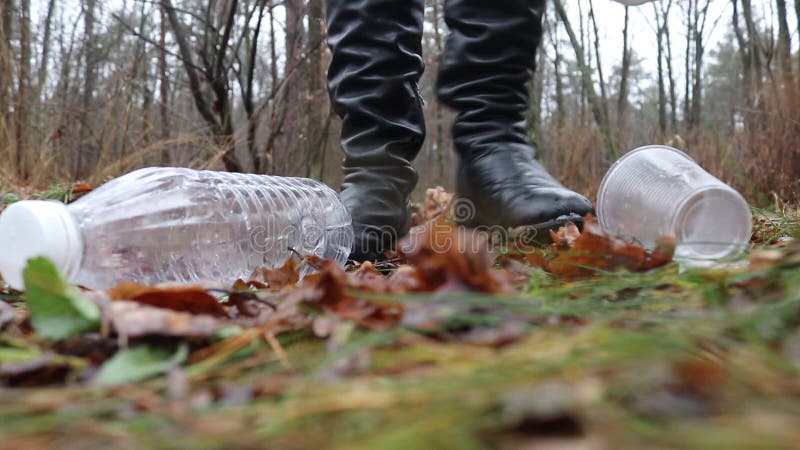 Garbage Collection in the Forest. a Volunteer Collects Garbage in a ...