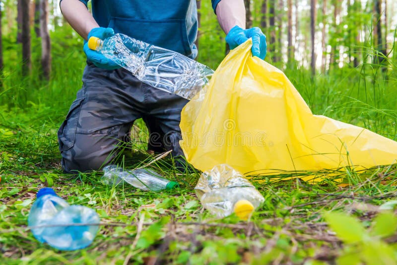 Garbage Collection in Nature. a Young Man Collects Plastic Trash in a ...