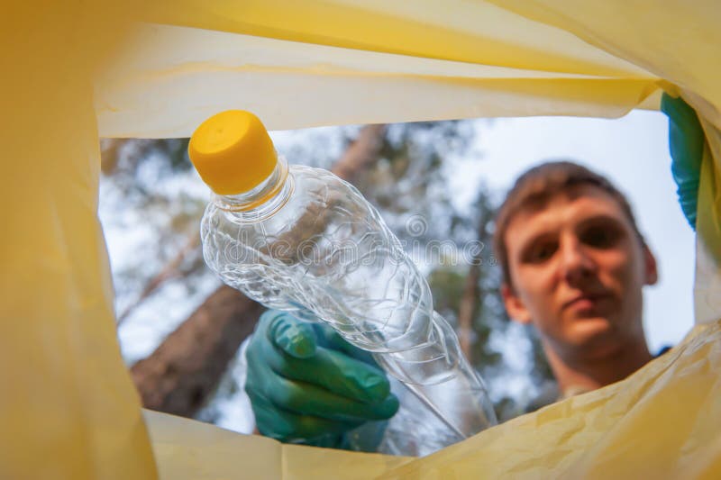 Garbage Collection in Nature. Young Man Puts Plastic Trash in a Yellow ...