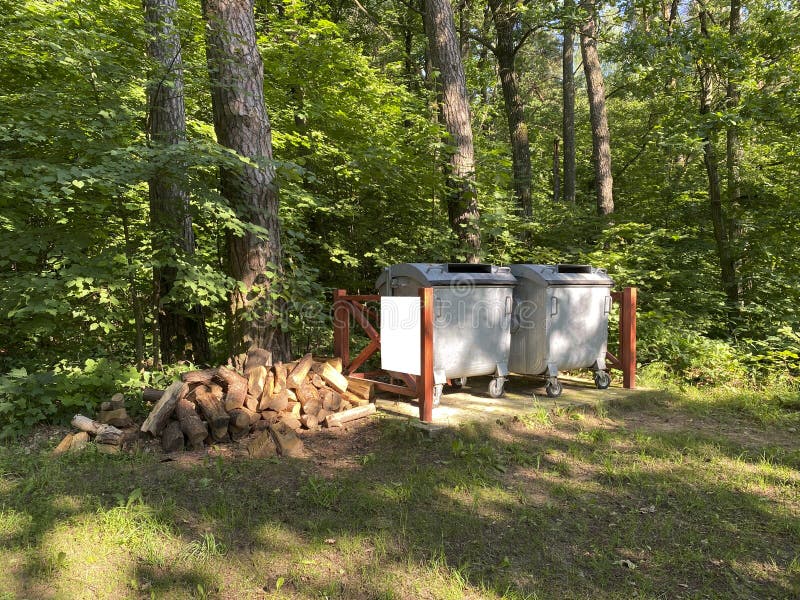 Garbage Containers are Installed in the Forest. Collecting Garbage in ...