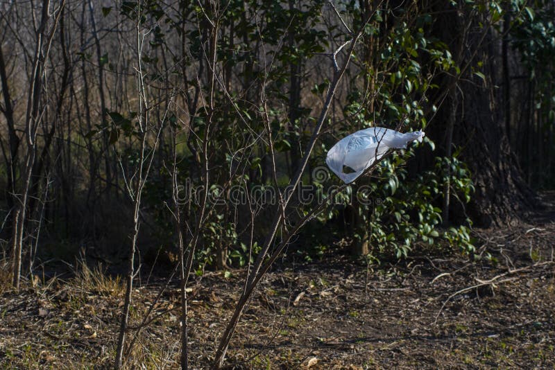 Garbage on a Country Dirt Road Stock Image - Image of discarded ...