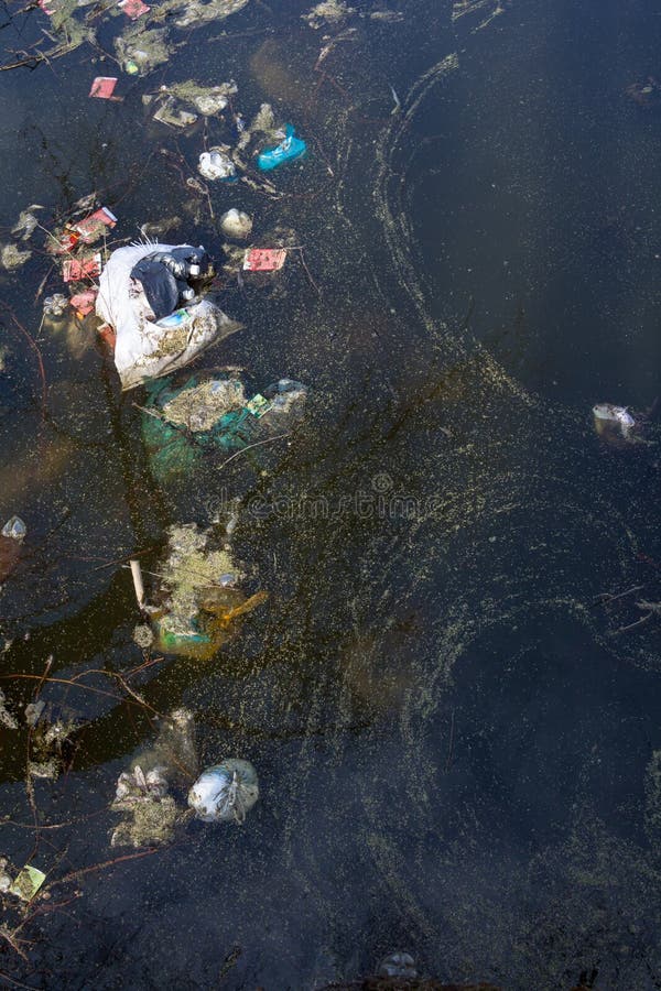 Water Pollution. Garbage in the Urban Stream Stock Photo - Image of ...