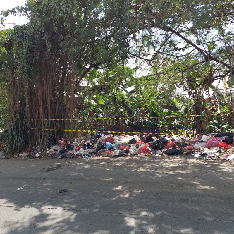 Garbage Disposal Area on the Side of the Road that is Installed with a ...