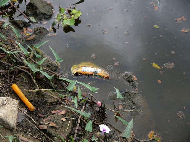 Garbage, Dry Leaves in the River Pollute the Water the Pollution is ...