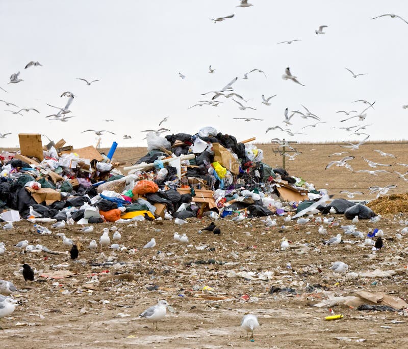 Garbage dump stock photo. Image of city, smelly, sanitation - 11321946