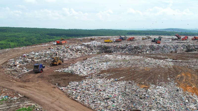An Unsorted Garbage Dump in the Middle of a Green Forest in the ...