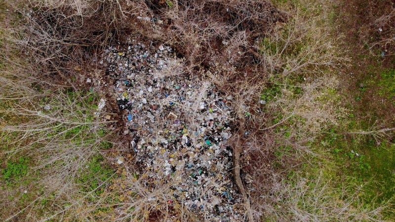 Garbage Dump in Forest. Ecological Problem. Illegal Garbage Dump in the ...