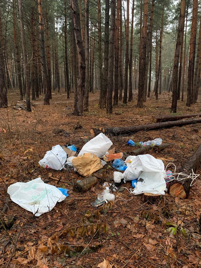 Garbage Dump in the Forest. Environmental Pollution. Concept: Illegal ...