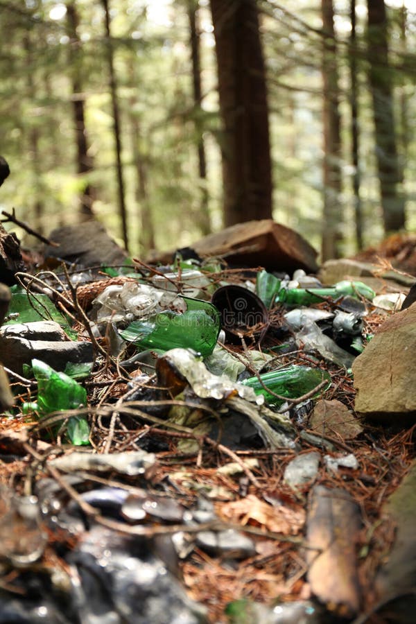 Garbage Dump in Forest, Environmental Pollution by Plastic Stock Photo ...