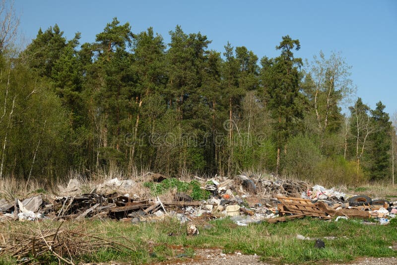 Garbage dump in the forest stock photo. Image of junk - 219819508