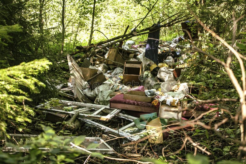 Garbage Dump in the Forest. Human Influence on Nature. Household Waste ...