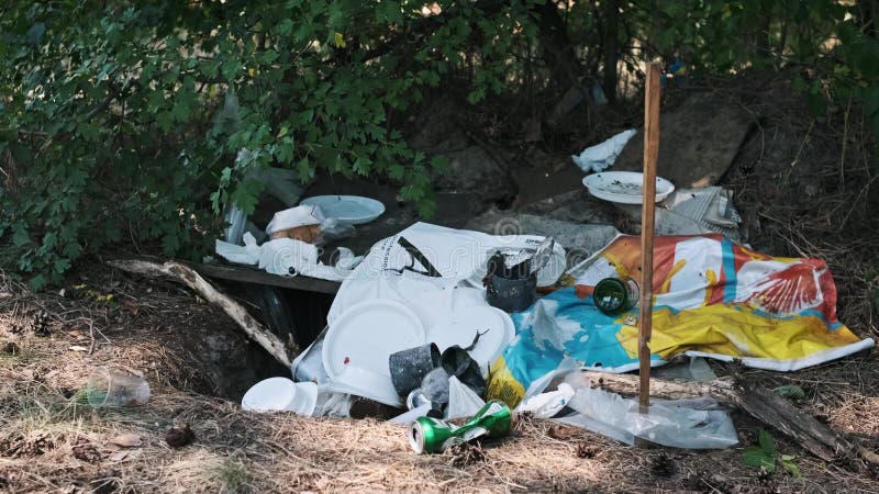 Garbage Dump in the Forest stock video. Video of ecology - 325824589