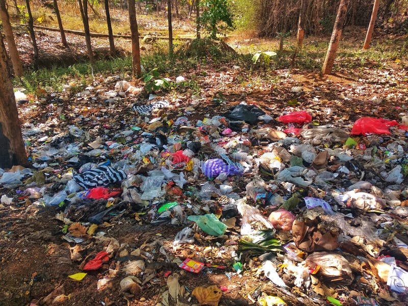 Garbage Dump in the Forest. Pollution of Environment Concept Stock ...