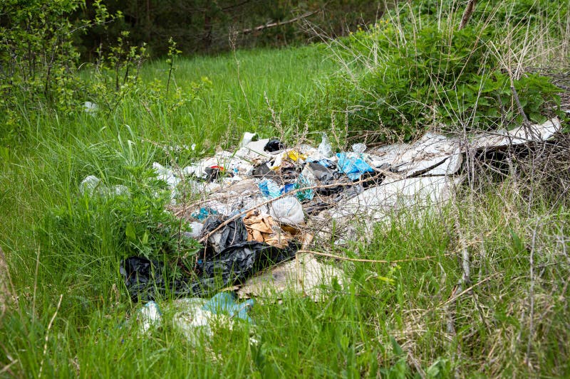 Garbage Dump in the Forest, Pollution of the Environment Stock Image ...