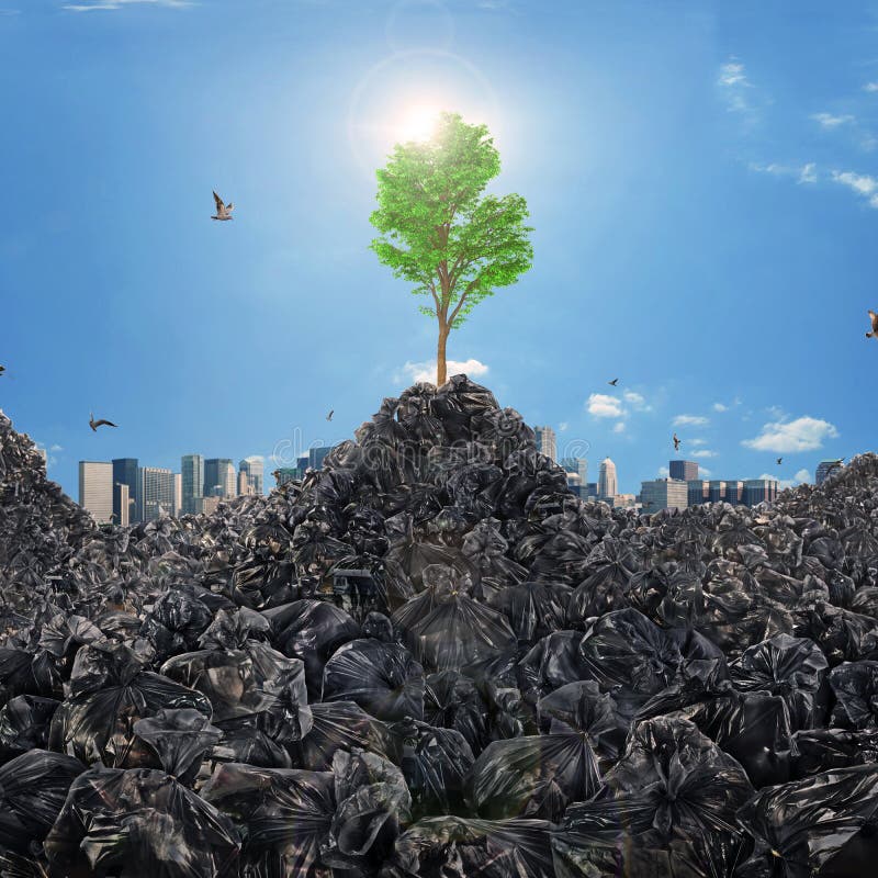 Tree Growing On The Garbage Dump Stock Photo - Image of growth ...