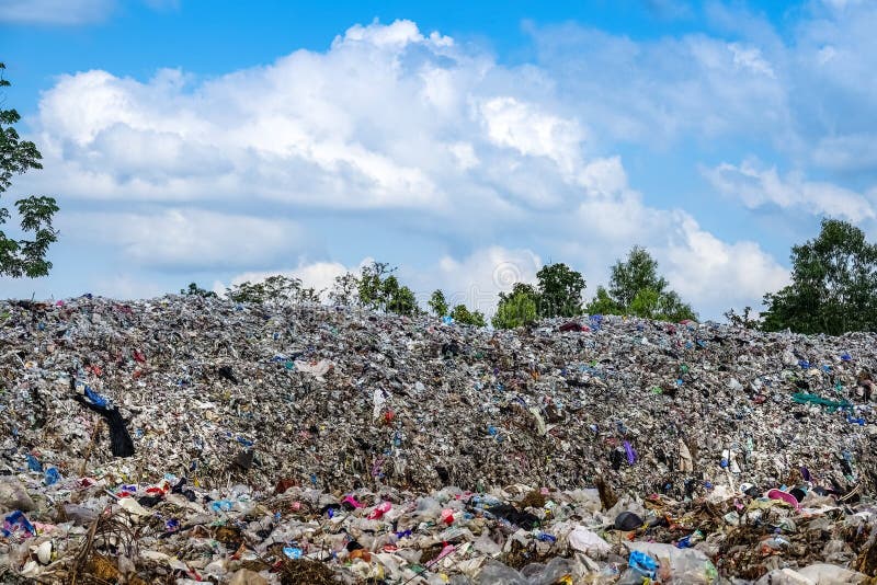 Landscape with trash stock image. Image of reed, conservation - 92678071